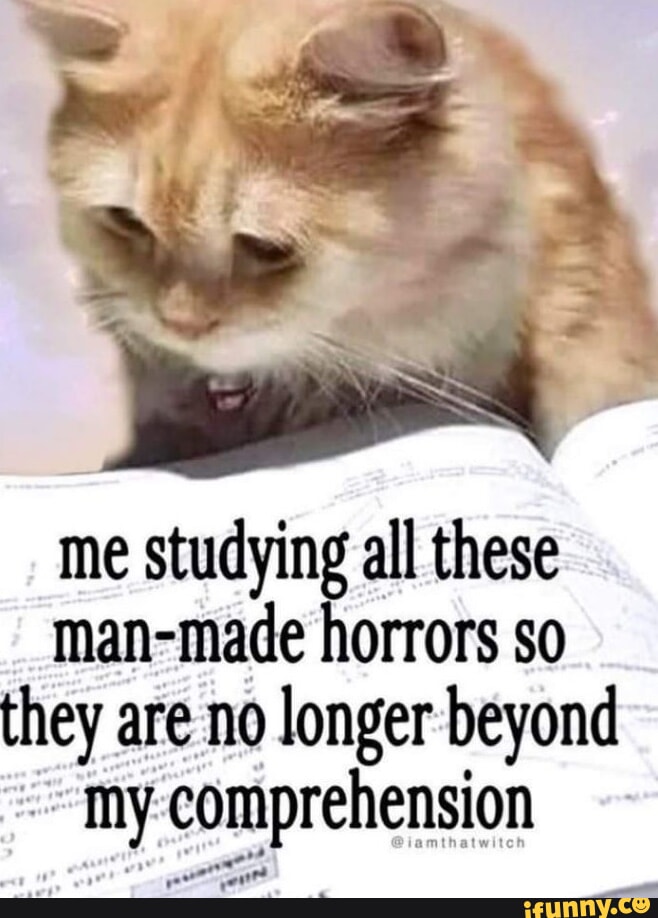 Studying memes. Best Collection of funny Studying pictures on iFunny