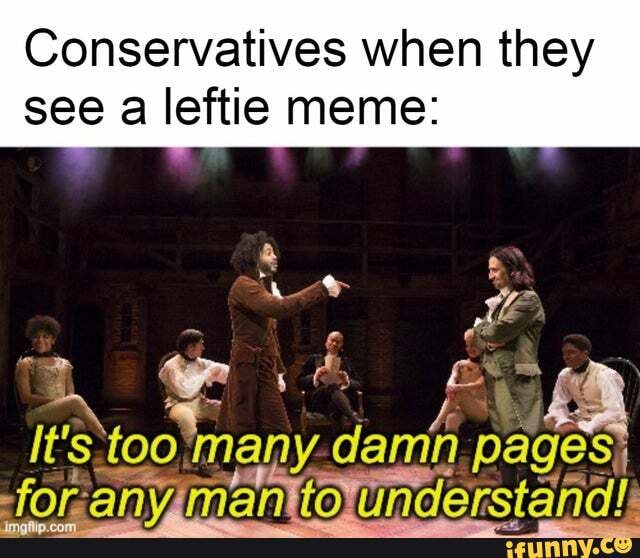 Conservatives when they see a leftie meme: al It's too many damn ages ...
