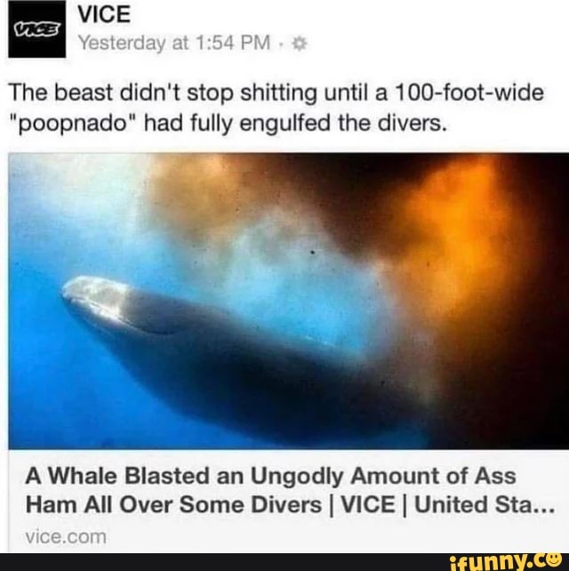 VICE at PM The beast didn't stop shitting until a 100-foot-wide ...