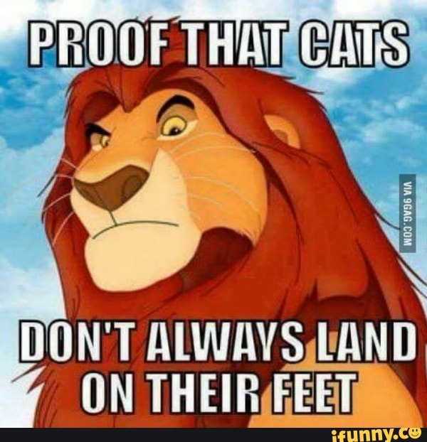 PROOT DONT ALWAYS VAND ON THEIR FEET - iFunny