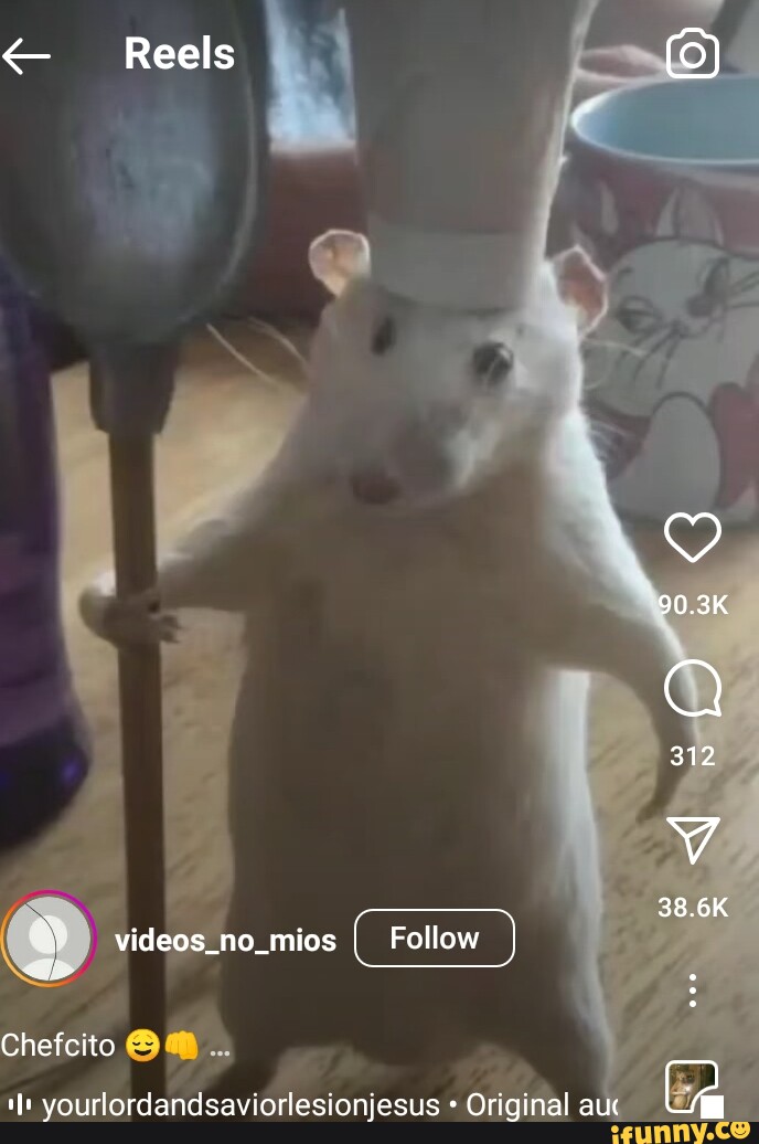 Chefcito en. yourlordandsaviorlesionjesus Original a - iFunny