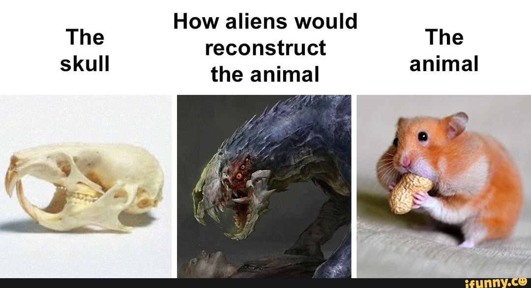 How aliens would reconstruct the animal The skull The animal - iFunny