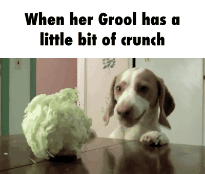 Grool memes. Best Collection of funny Grool pictures on iFunny