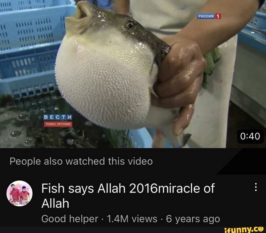 Allan memes. Best Collection of funny Allan pictures on iFunny