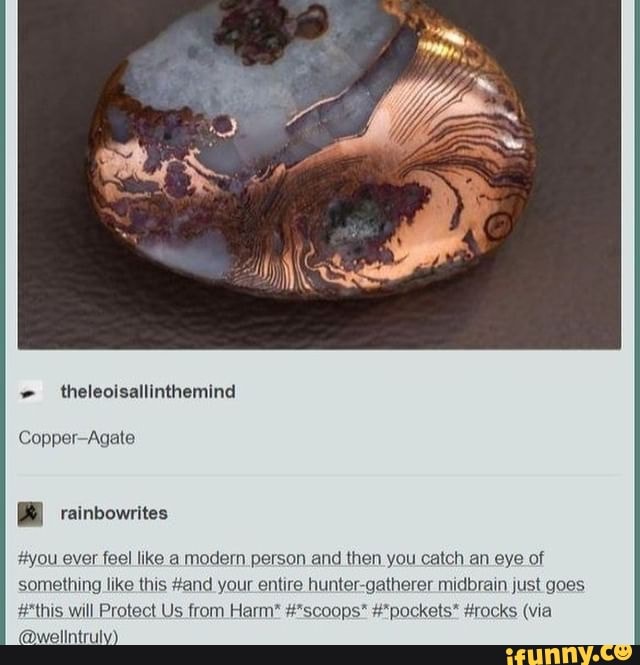 Midbrain memes. Best Collection of funny Midbrain pictures on iFunny