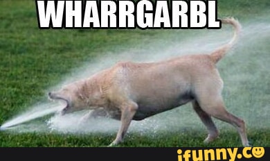 Sprinkler memes. Best Collection of funny Sprinkler pictures on iFunny