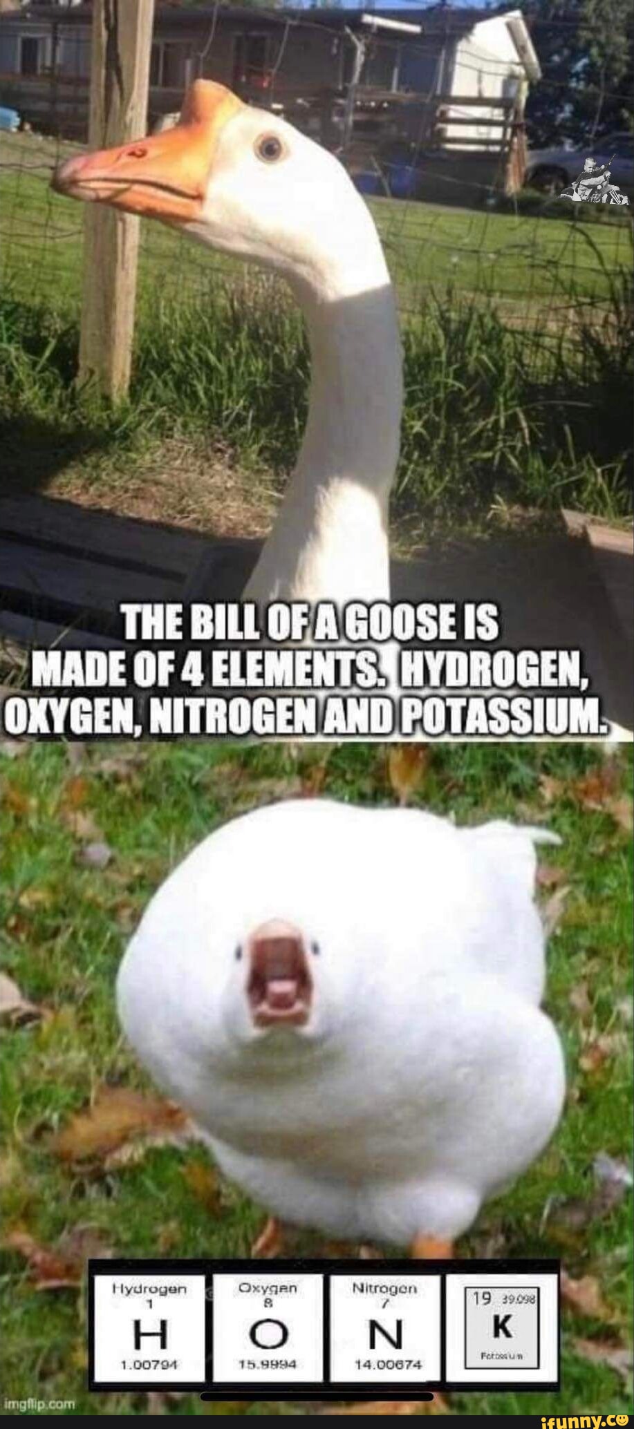 Potassium memes. Best Collection of funny Potassium pictures on iFunny