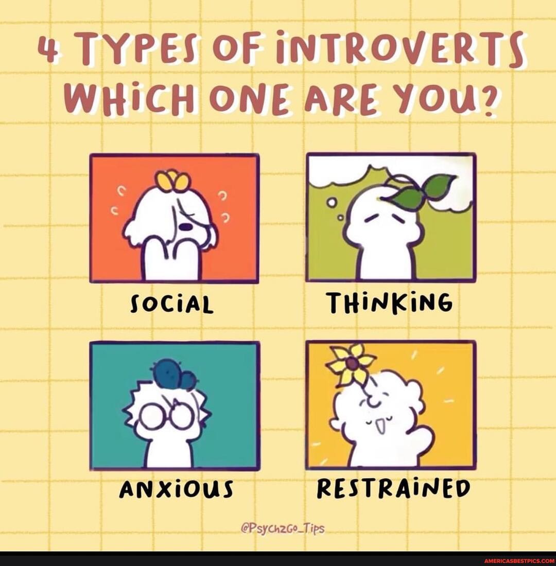 TYPES OF INTROVERTS WHICH ONE ARE YOU? SOCiAL THINKING WS) he OO} ie ANxiOus RESTRAINED ...