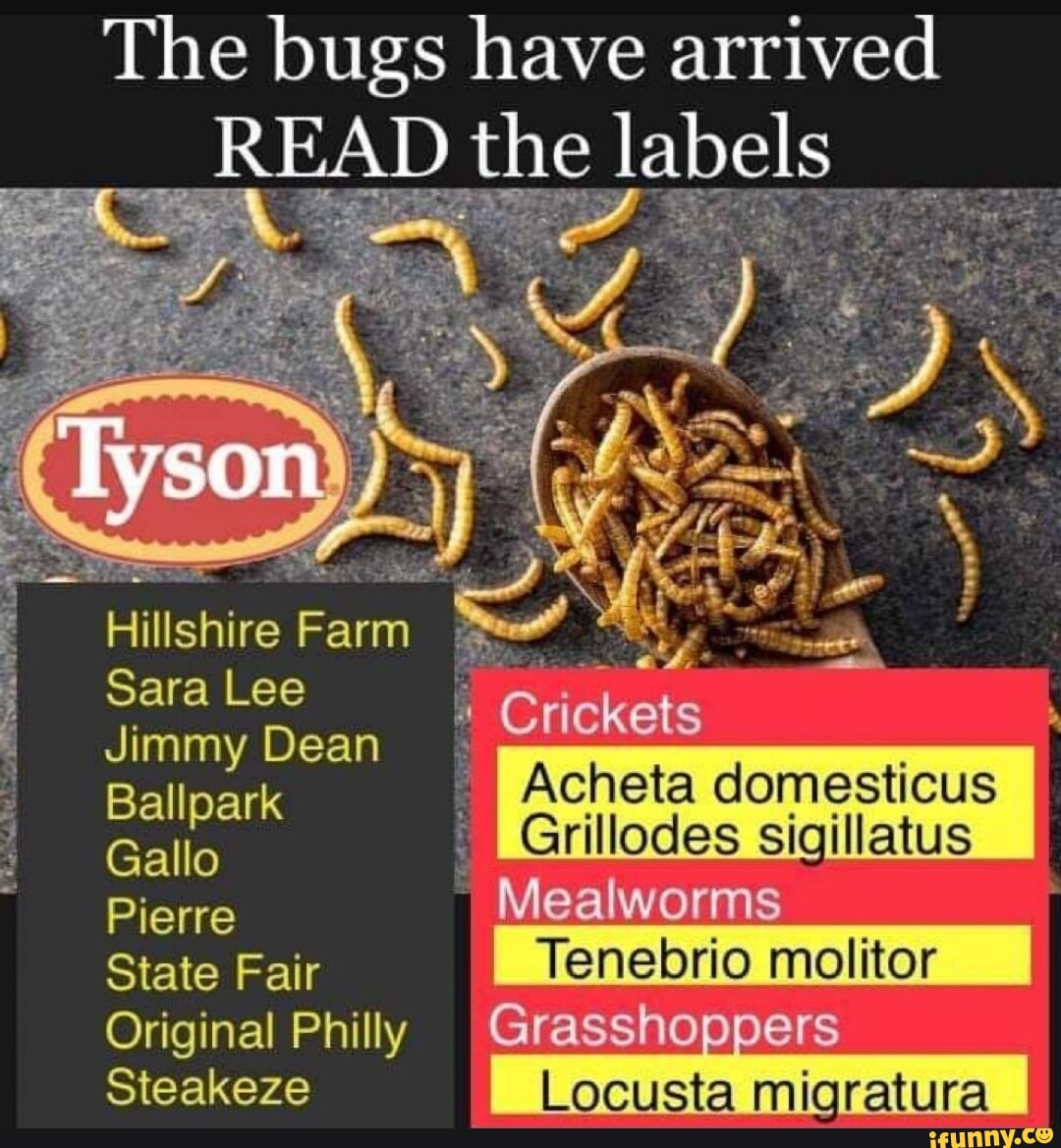 The bugs have arrived __READ the labels Hillshire Farm Sara Lee Jimmy ...