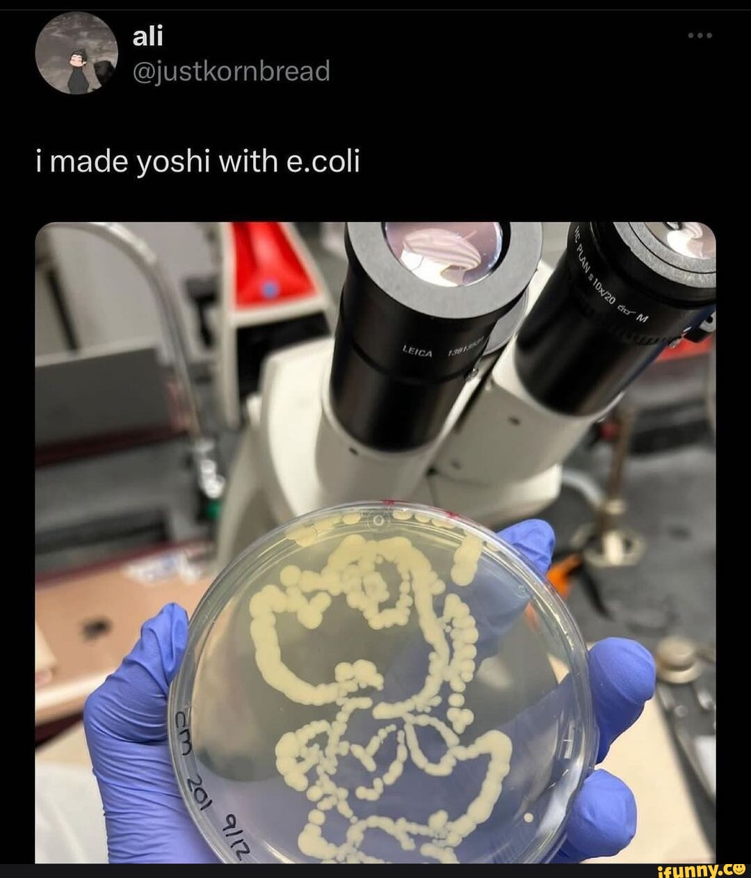 I made yoshi with e.coli - iFunny
