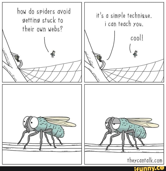 How do spiders avoid getting stuck to their own webs? it's simple ...