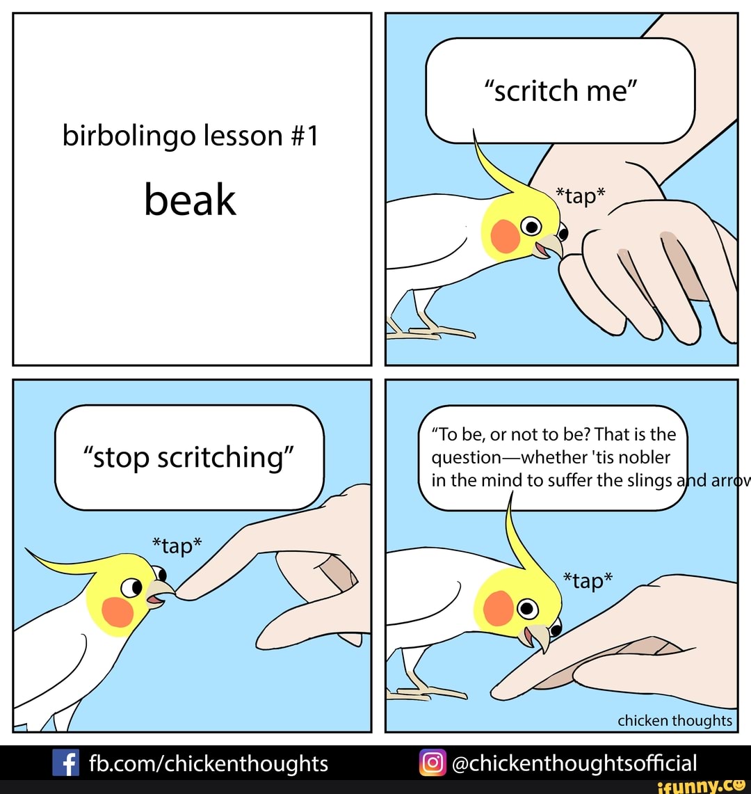 Scritching memes. Best Collection of funny Scritching pictures on iFunny