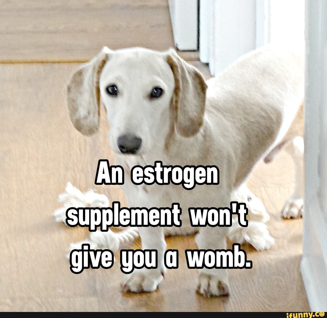 An estrogen 'Supplement won't give: you womb. - iFunny
