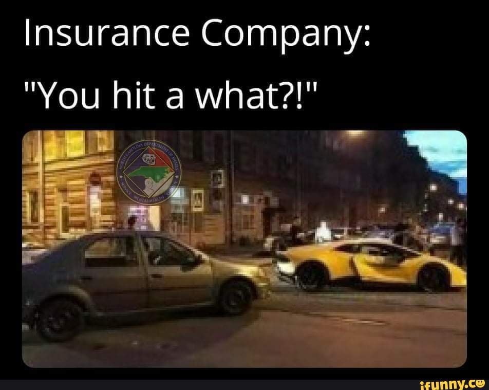 Insurance Company: "You hit a what?!" - iFunny
