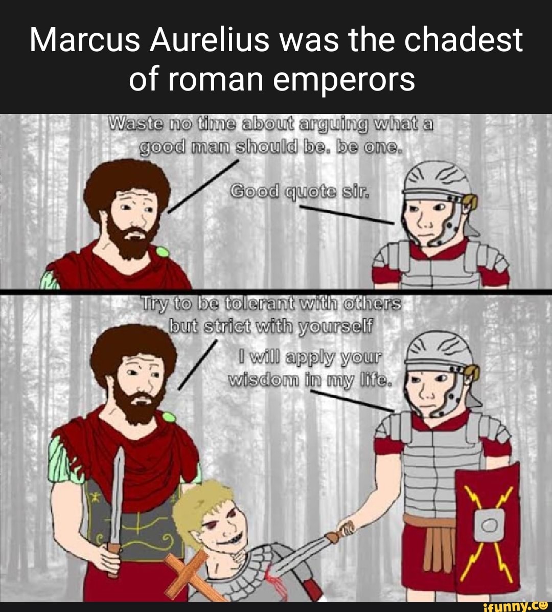 Marcus Aurelius was the chadest of roman emperors Waste no time about ...