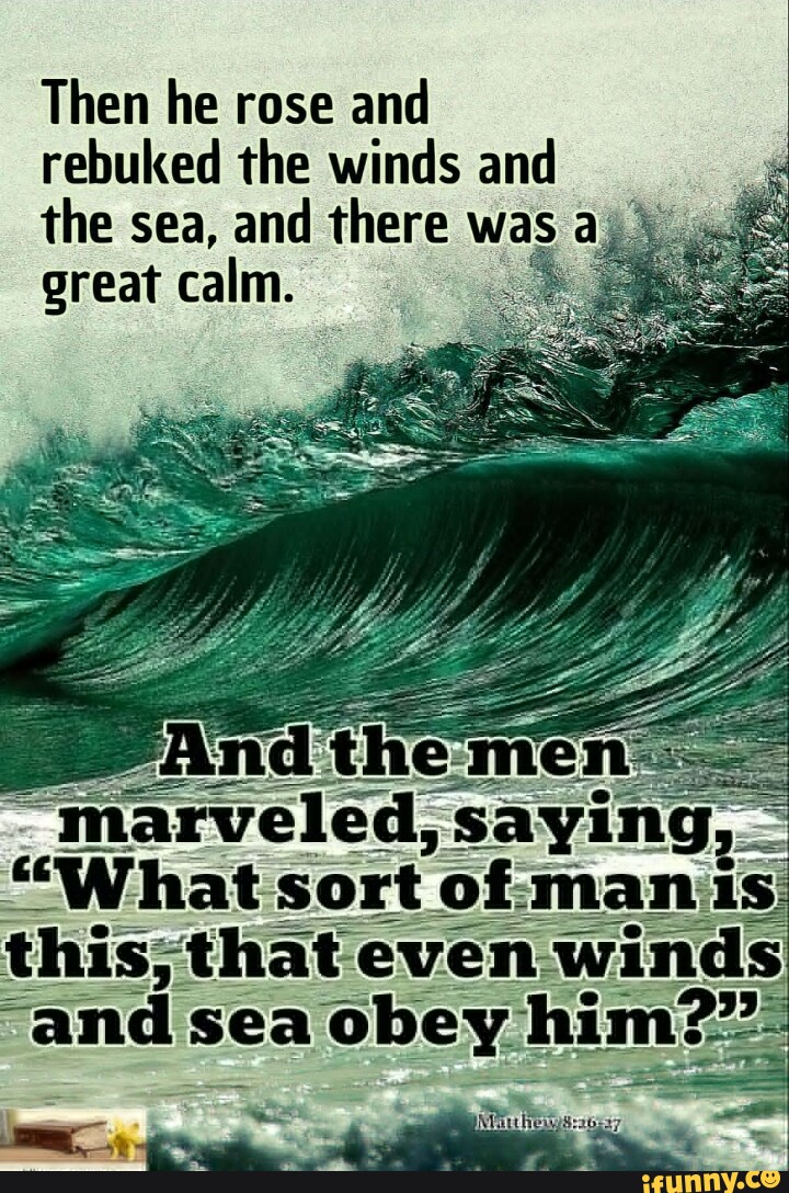 Then he rose and rebuked the winds and the sea, and there was a, great ...
