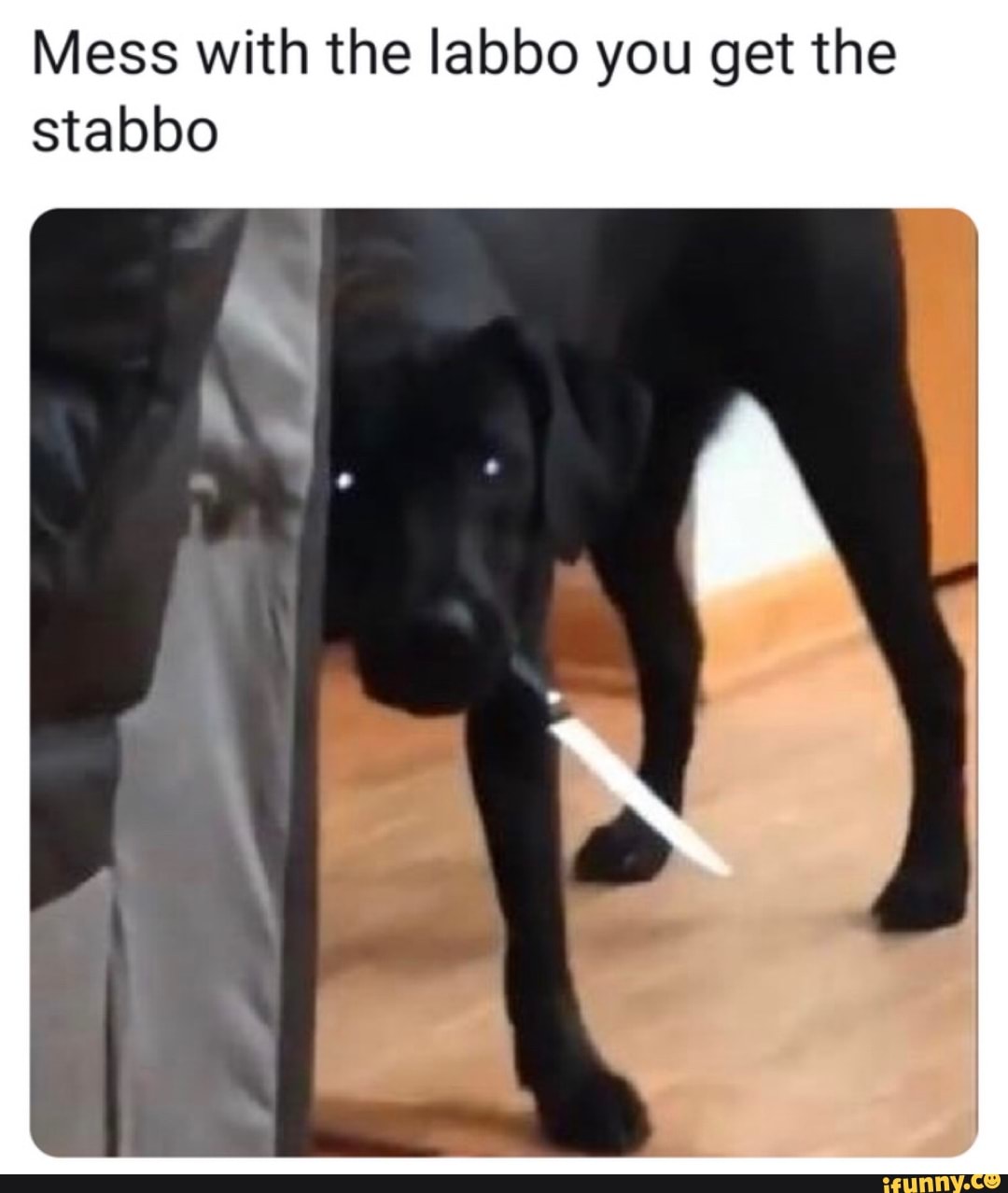 Mess with the labbo you get the stabbo - iFunny