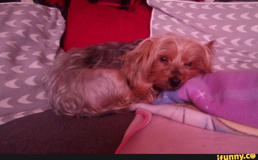 And1 memes. Best Collection of funny And1 pictures on iFunny