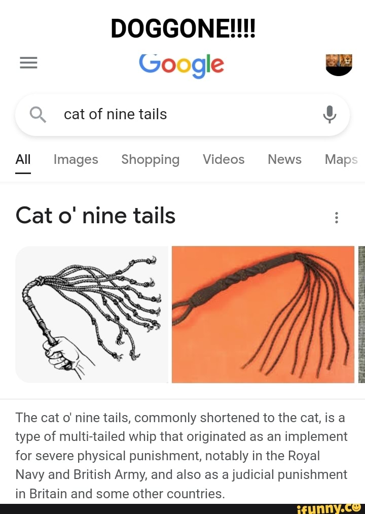 DOGGONE!!! Google we Q. cat of nine tails All Images Shopping Videos ...