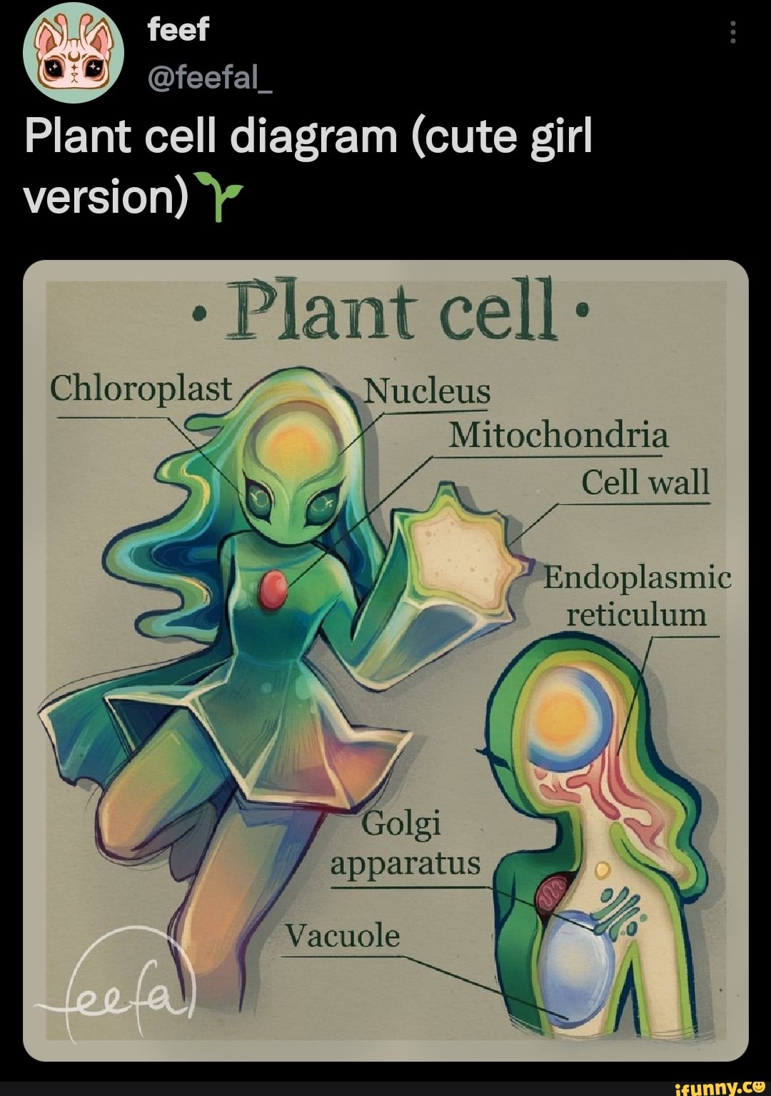 Feet @feefal_ Plant cell diagram (cute girl version) Plant cell ...
