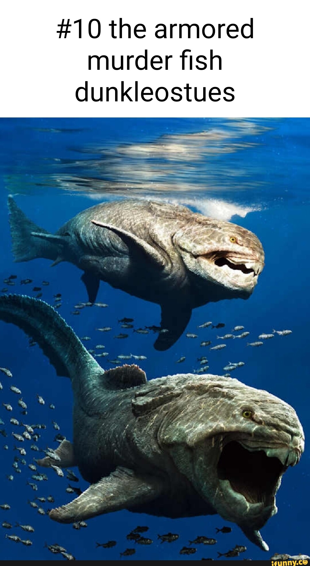 #10 the armored murder fish dunkleostues at - iFunny
