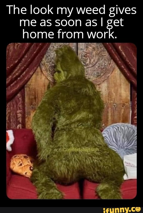 The Look My Weed Gives Me As Soon As I Get Home From Work Ifunny