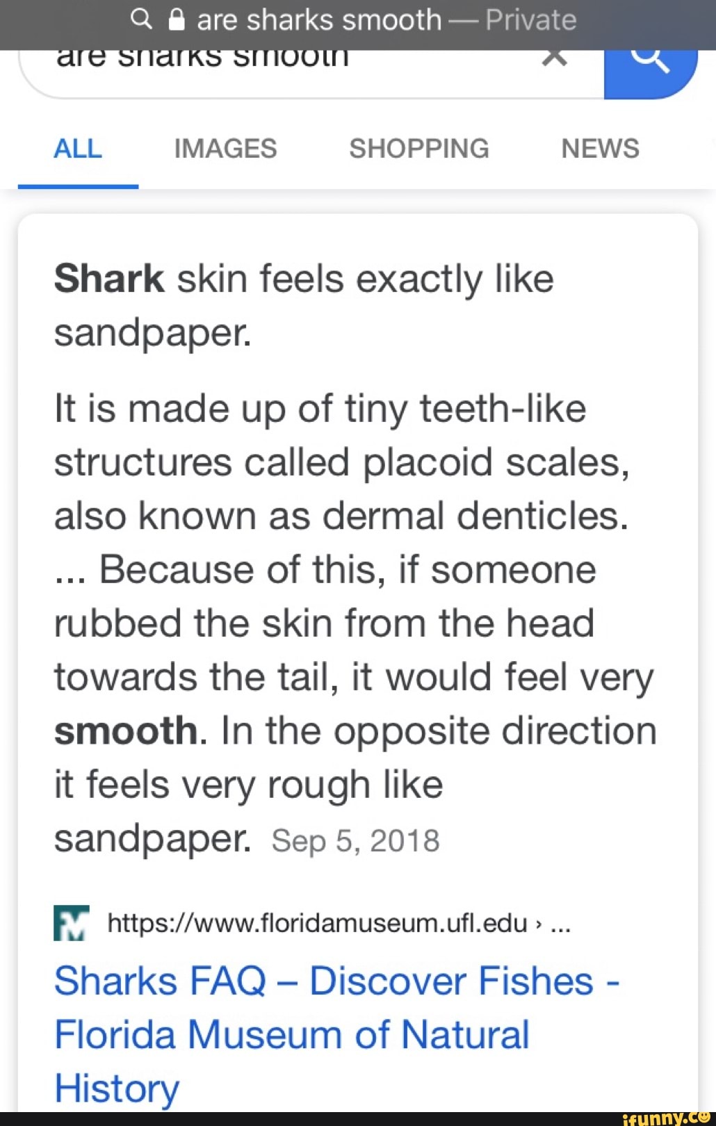 Sharkssmooth memes. Best Collection of funny Sharkssmooth pictures on ...