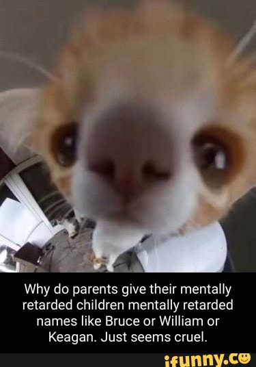 Mentally Retarded Dog