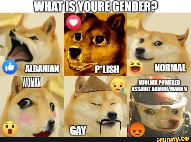 Pish memes. Best Collection of funny Pish pictures on iFunny