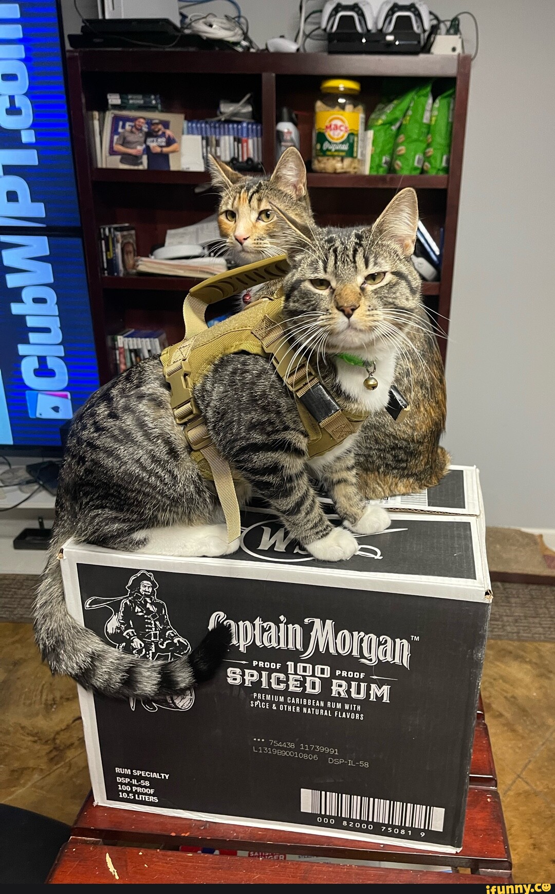 Osp memes. Best Collection of funny Osp pictures on iFunny