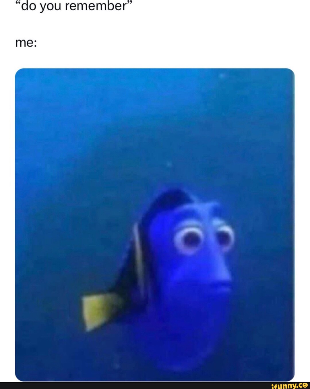 "do you remember me: - iFunny