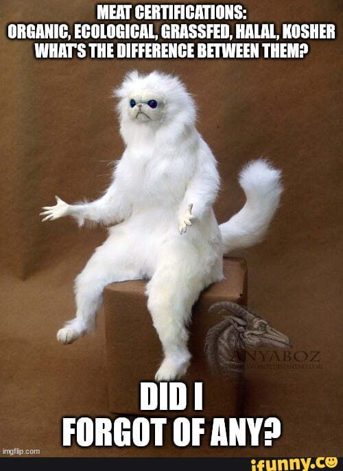 Certification memes. Best Collection of funny Certification pictures on ...