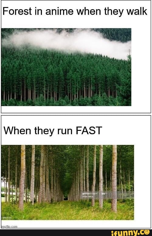 Forest in anime when they walk When they run FAST - iFunny