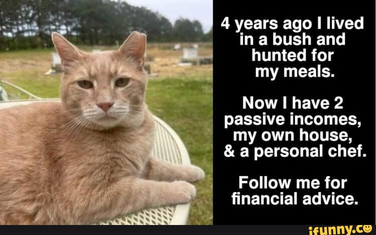 Passive memes. Best Collection of funny Passive pictures on iFunny