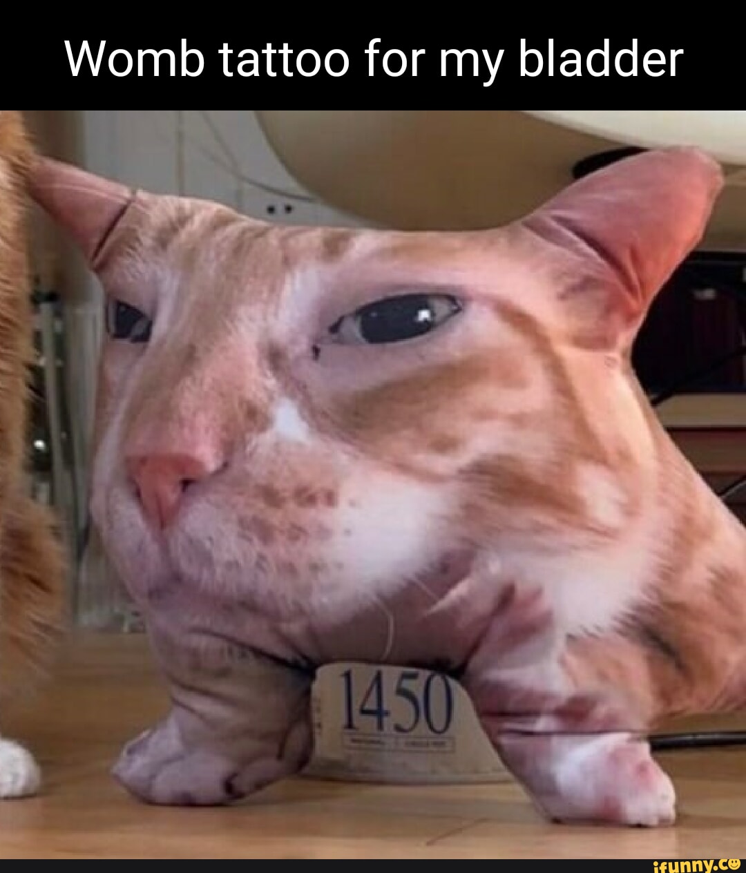 Bladder memes. Best Collection of funny Bladder pictures on iFunny