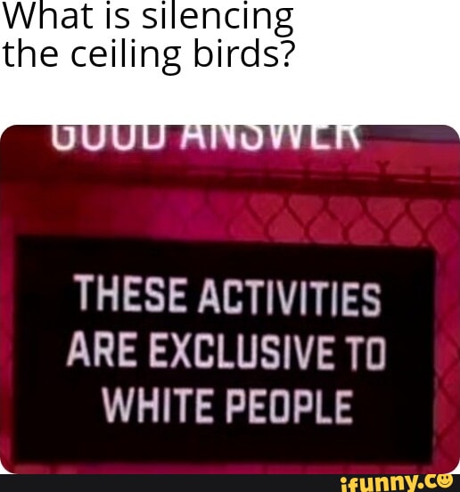 What Is silencing the ceiling birds? THESE ACTIVITIES ARE EXCLUSIVE TO ...