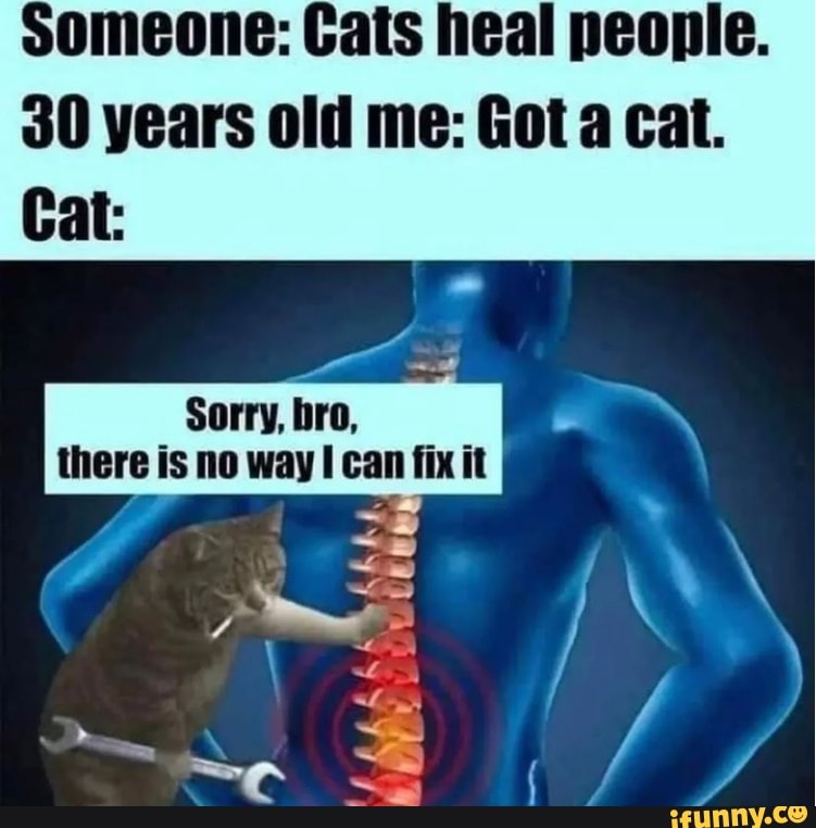 Biochem memes. Best Collection of funny Biochem pictures on iFunny