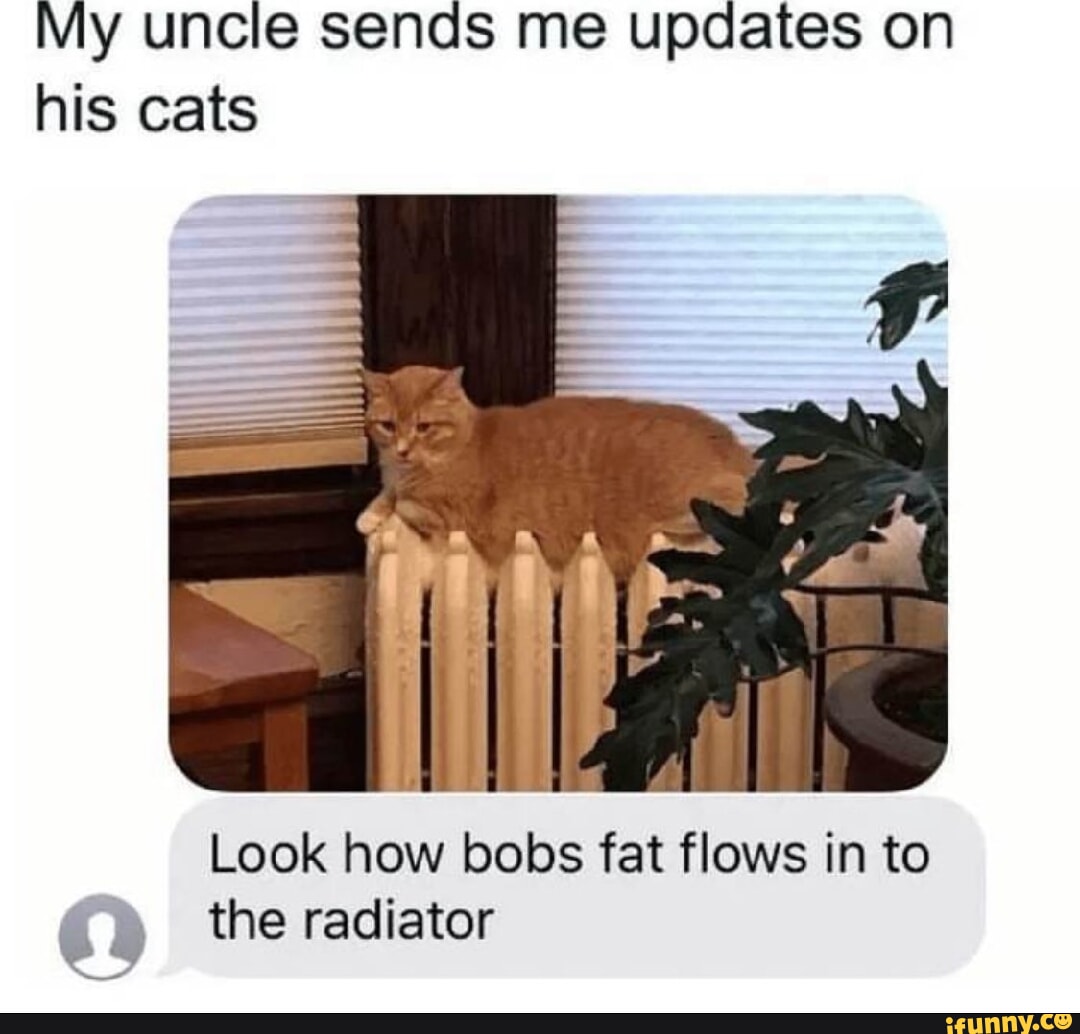 Radiator memes. Best Collection of funny Radiator pictures on iFunny