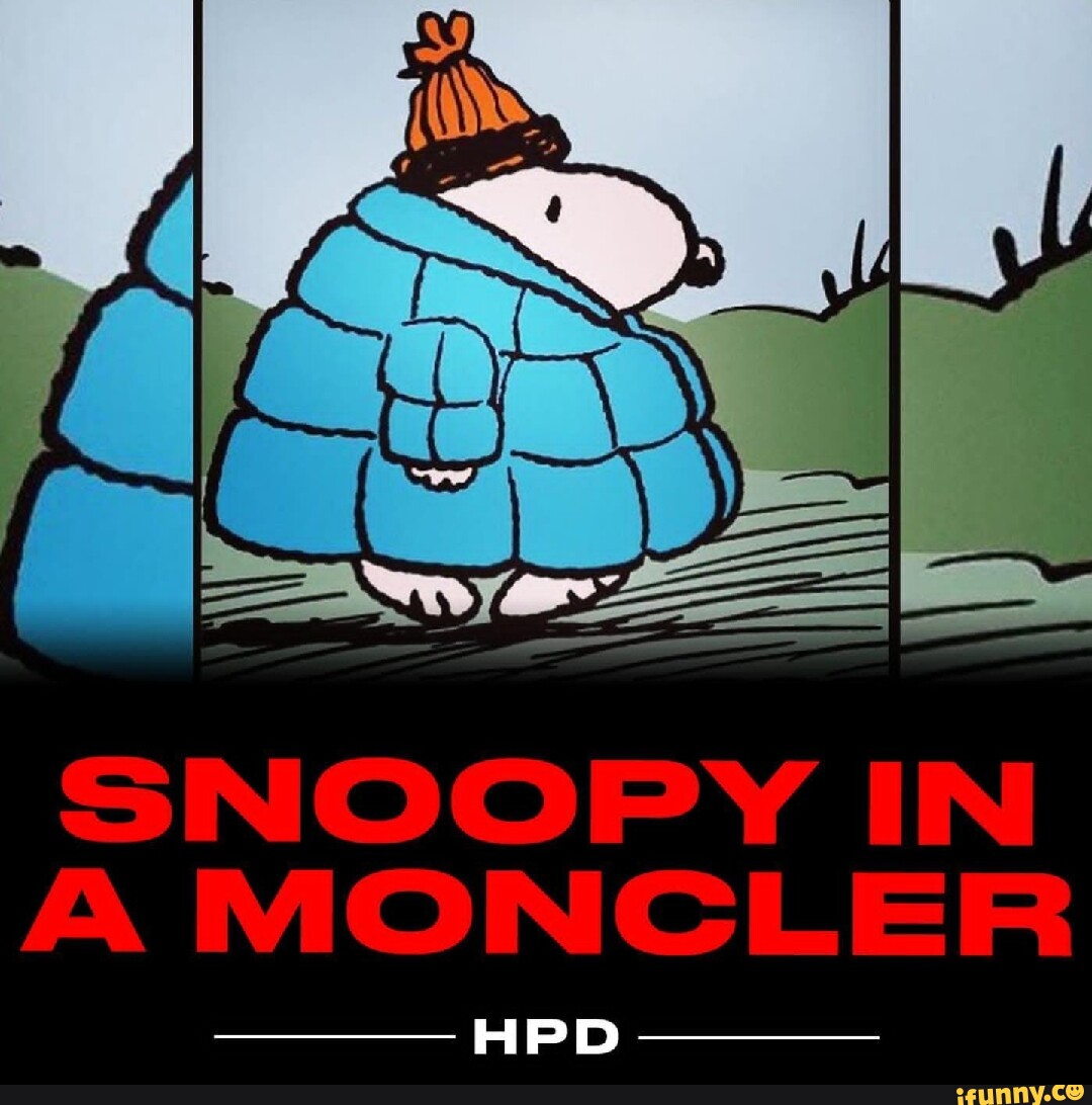 Hpd memes. Best Collection of funny Hpd pictures on iFunny