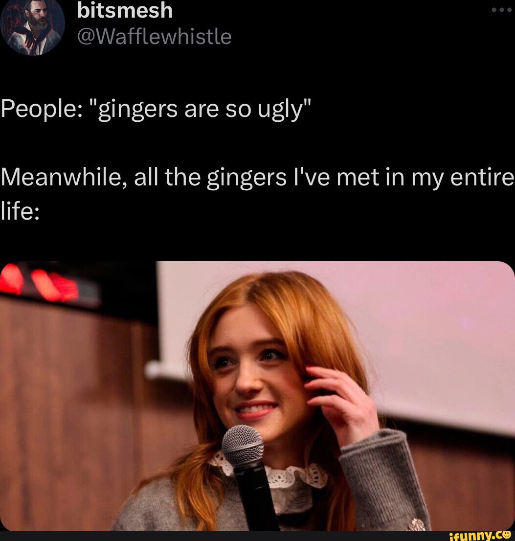 People: "gingers are so ugly" Meanwhile, all the gingers I've met in my ...