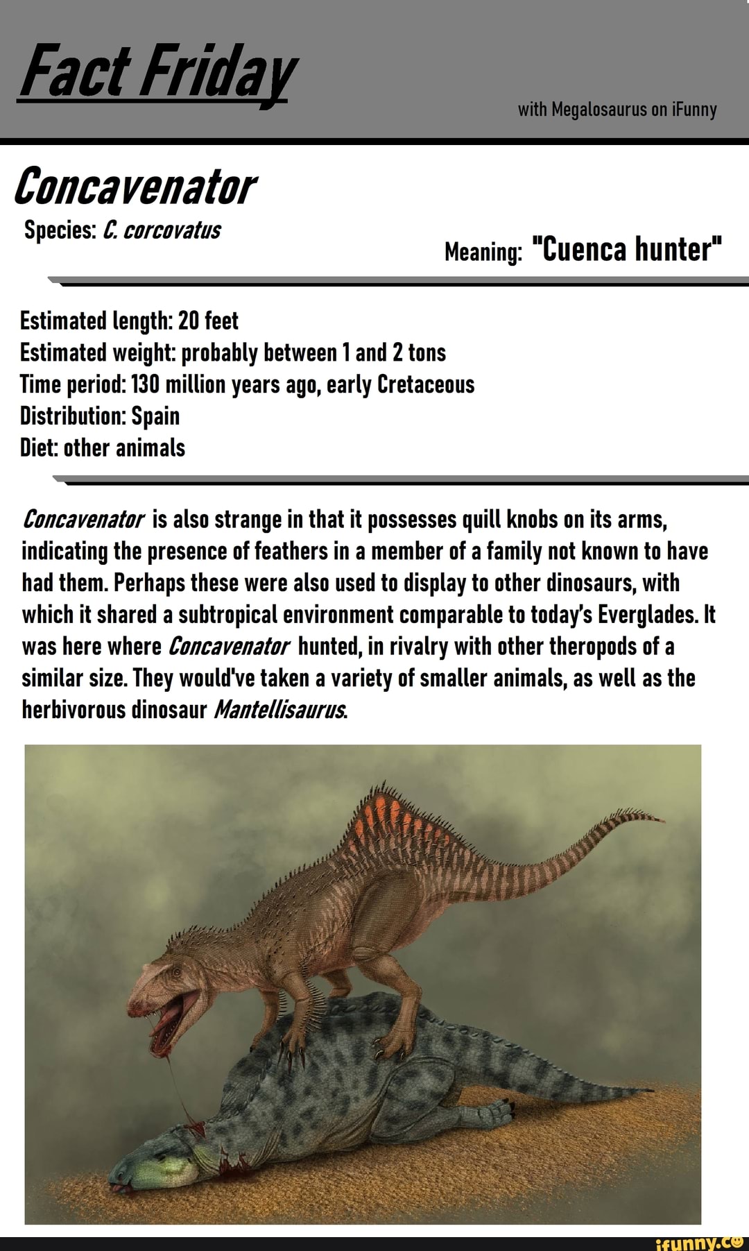 Concavenator Species: corcovatus with om Meaning: "Cuenca hunter ...