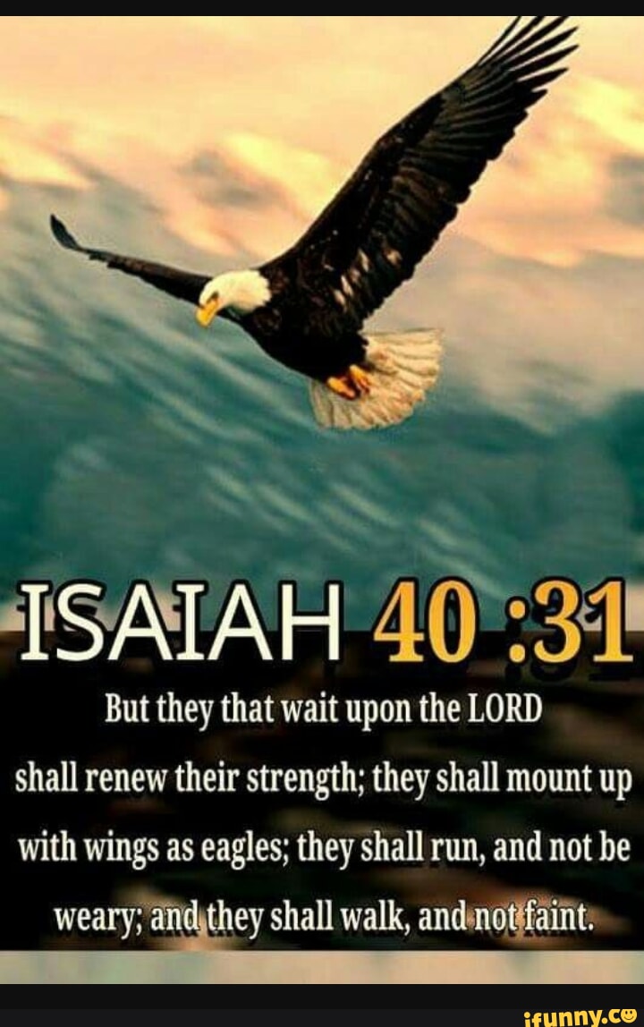 40 But they that wait upon the LORD shall renew their strength; they ...