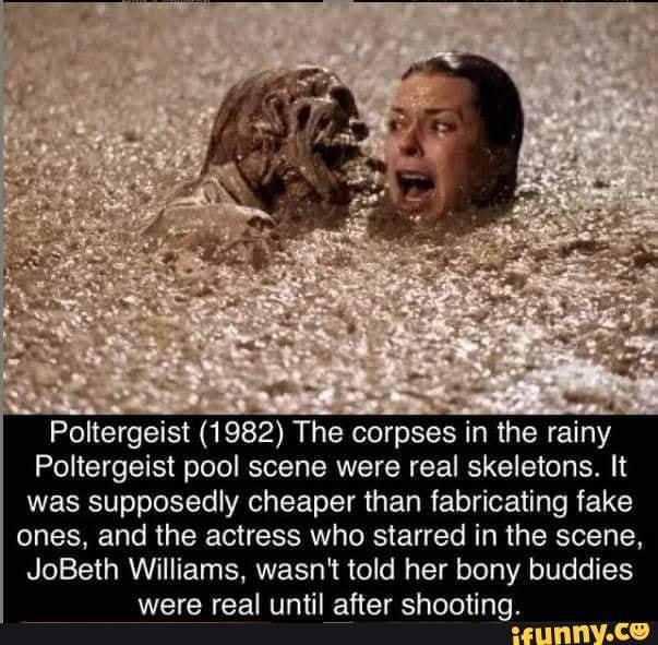 Poltergeist (1982) The corpses in the rainy Poltergeist pool scene were ...