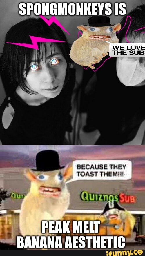 SPONGMONKEYS IS WE LOVE THE SUB: BECAUSE THEY TOAST THEM!!! PEAK MELT ...
