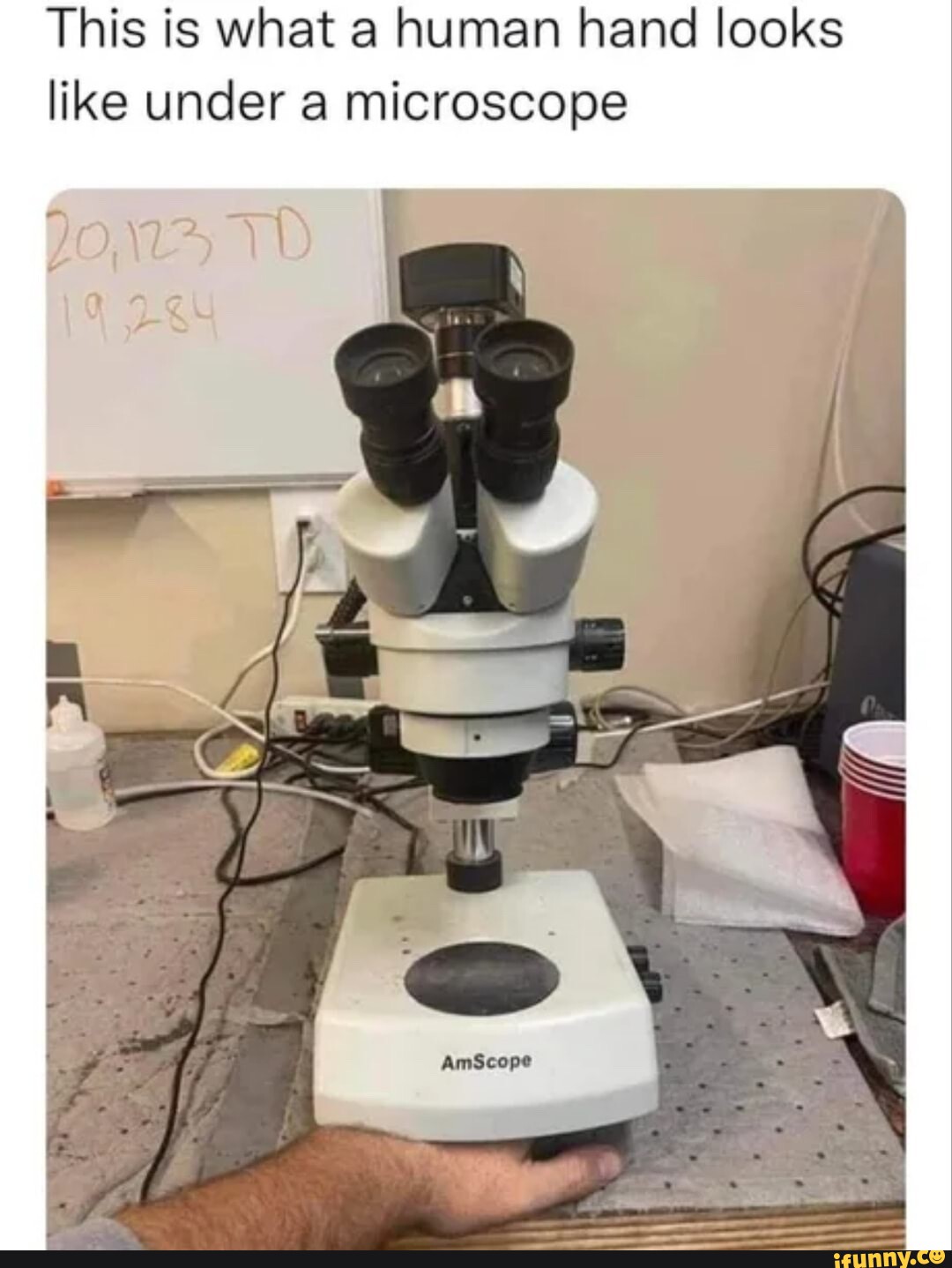 This is what a human hand looks like under microscope - iFunny