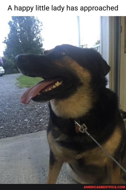 A happy little lady has approached - America’s best pics and videos