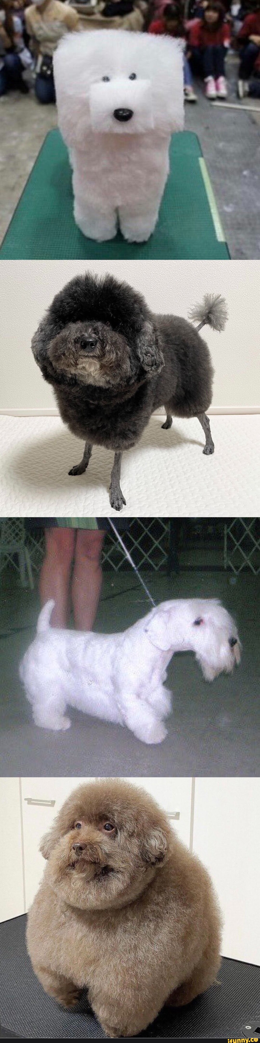 Picture memes pi6CwBW7A by Alibaba_Saluja_V: 147 comments - iFunny