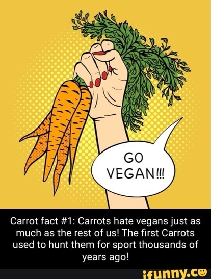 Carrots memes. Best Collection of funny Carrots pictures on iFunny