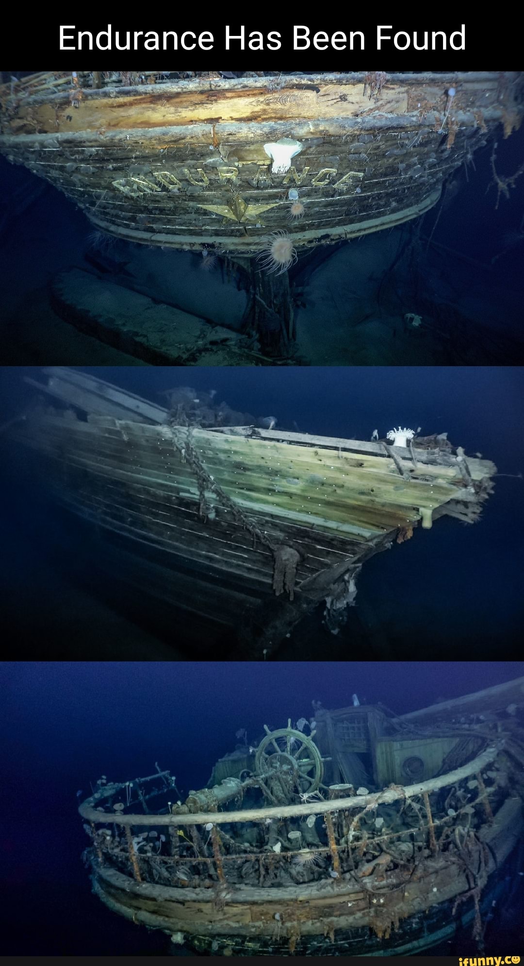 Endurance Has Been Found - iFunny