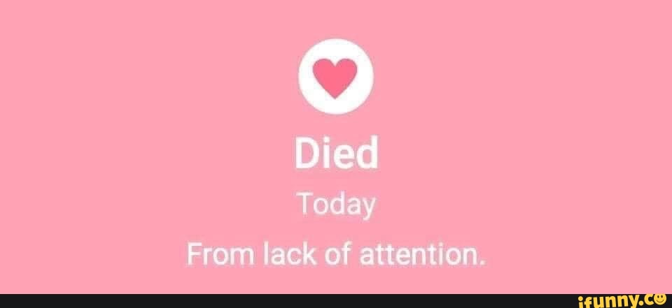 Died Today From lack of attention. - iFunny